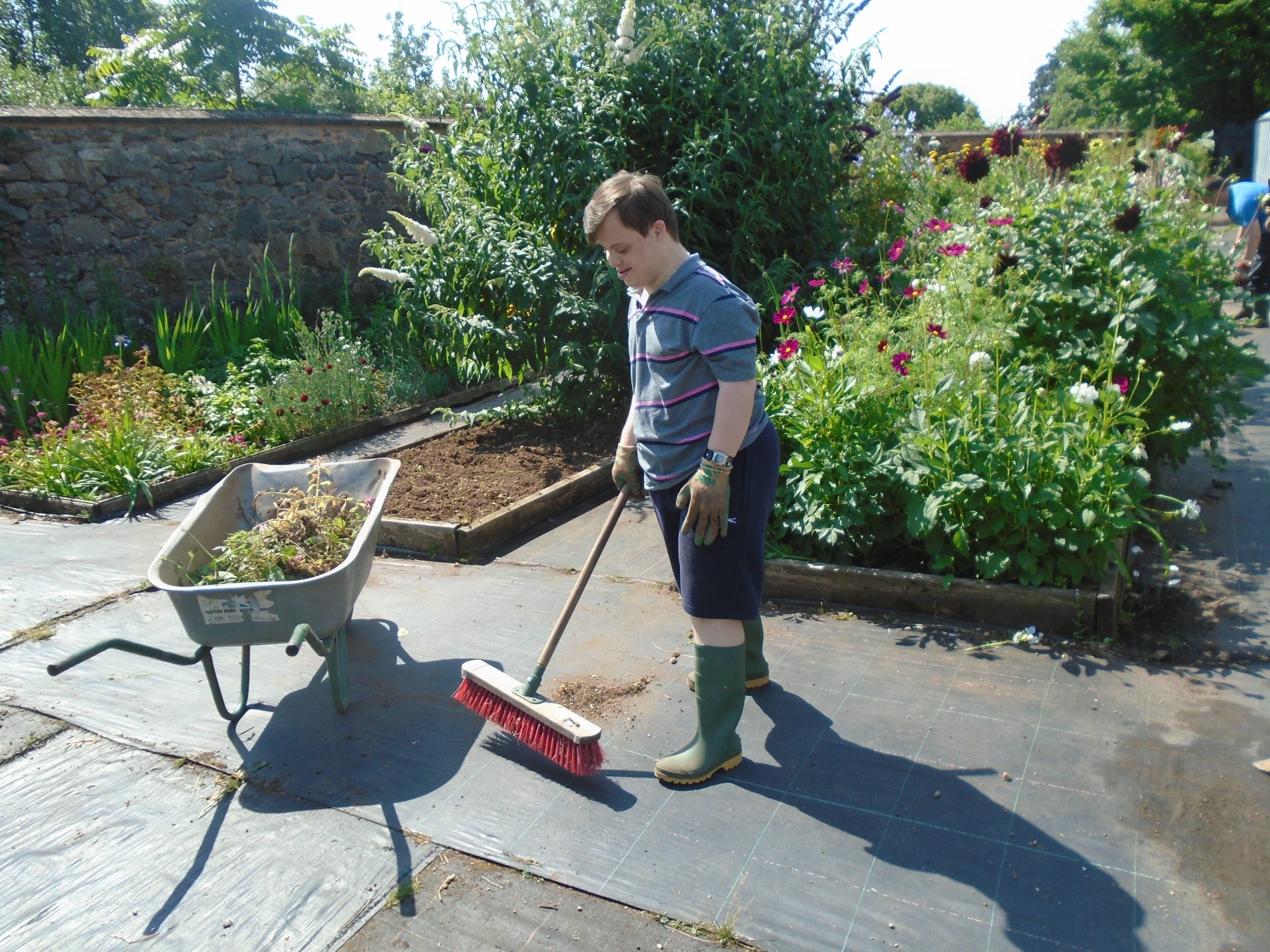 Rural Skills - Learn to Live